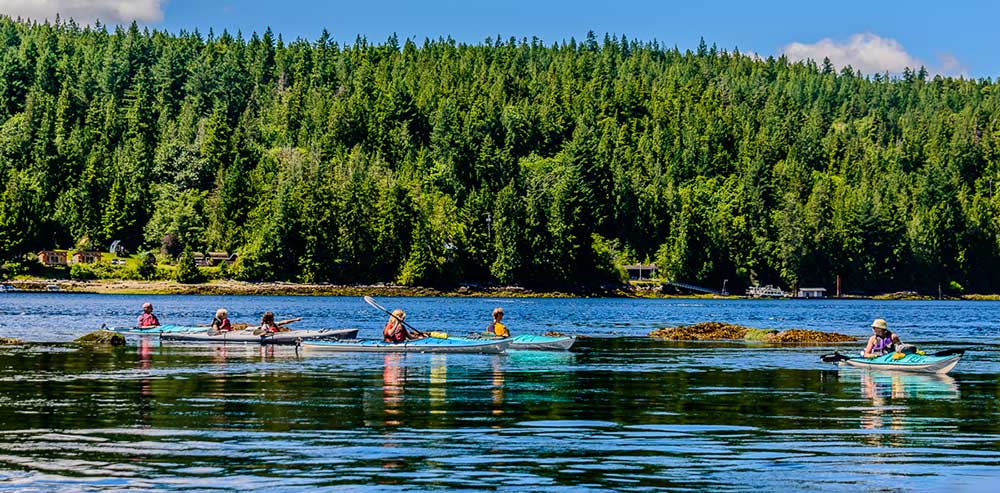Kayak Our Inlets - West Coast Wilderness Lodge