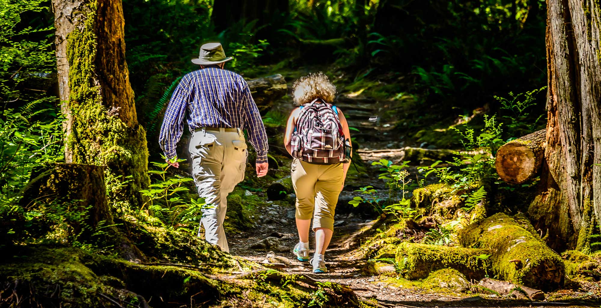 Hiking & Biking - West Coast Wilderness Lodge